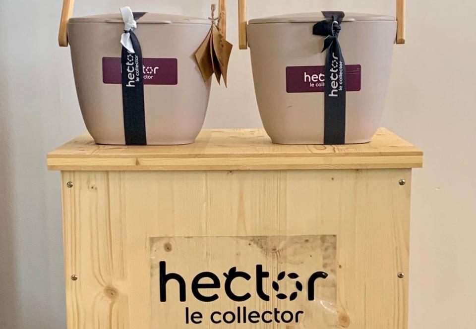 Phylum Ecolo : where do we stand ? | Phylum